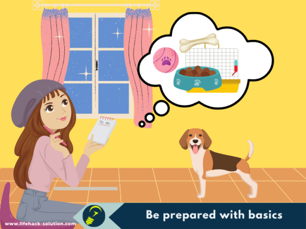 Beginner Tips and Tricks for First time Puppy owner